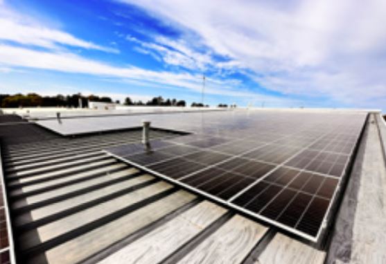 Trina Solar | Success Story: Hayes International